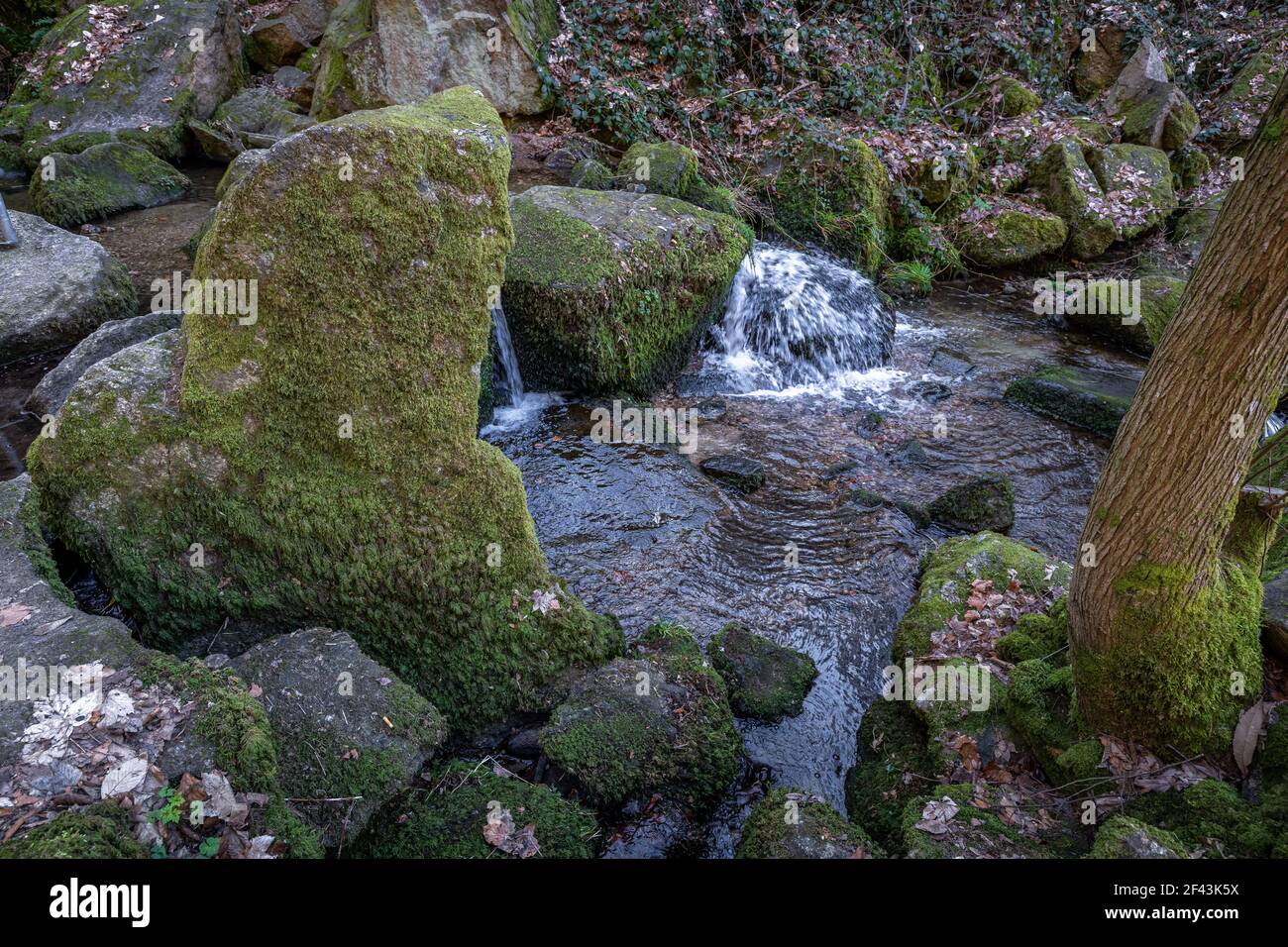 A water cascade flowing through big rocks in the forest Stock Photo - Alamy