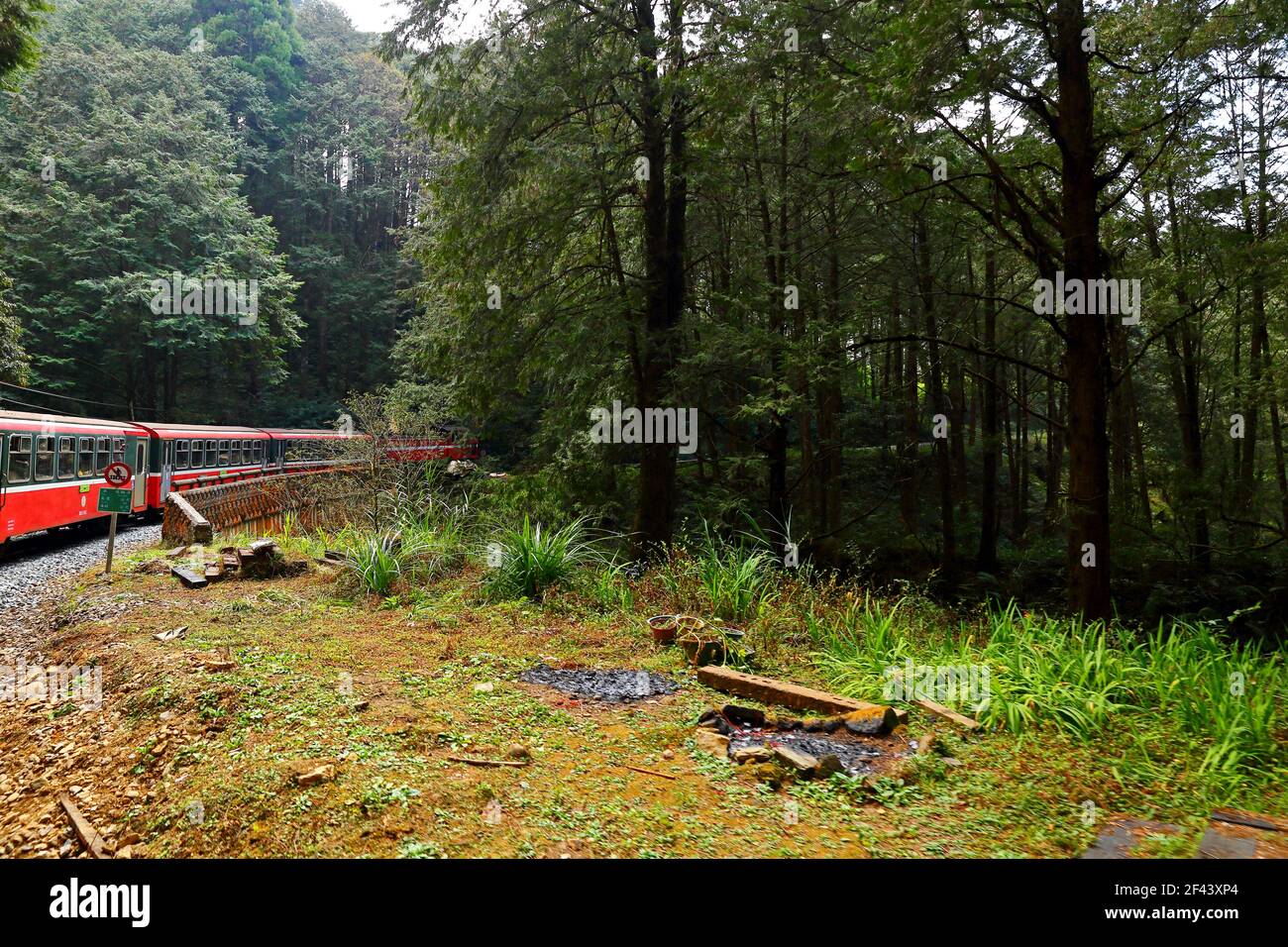 Forest train on railway in Alishan National Forest Recreation Area ...