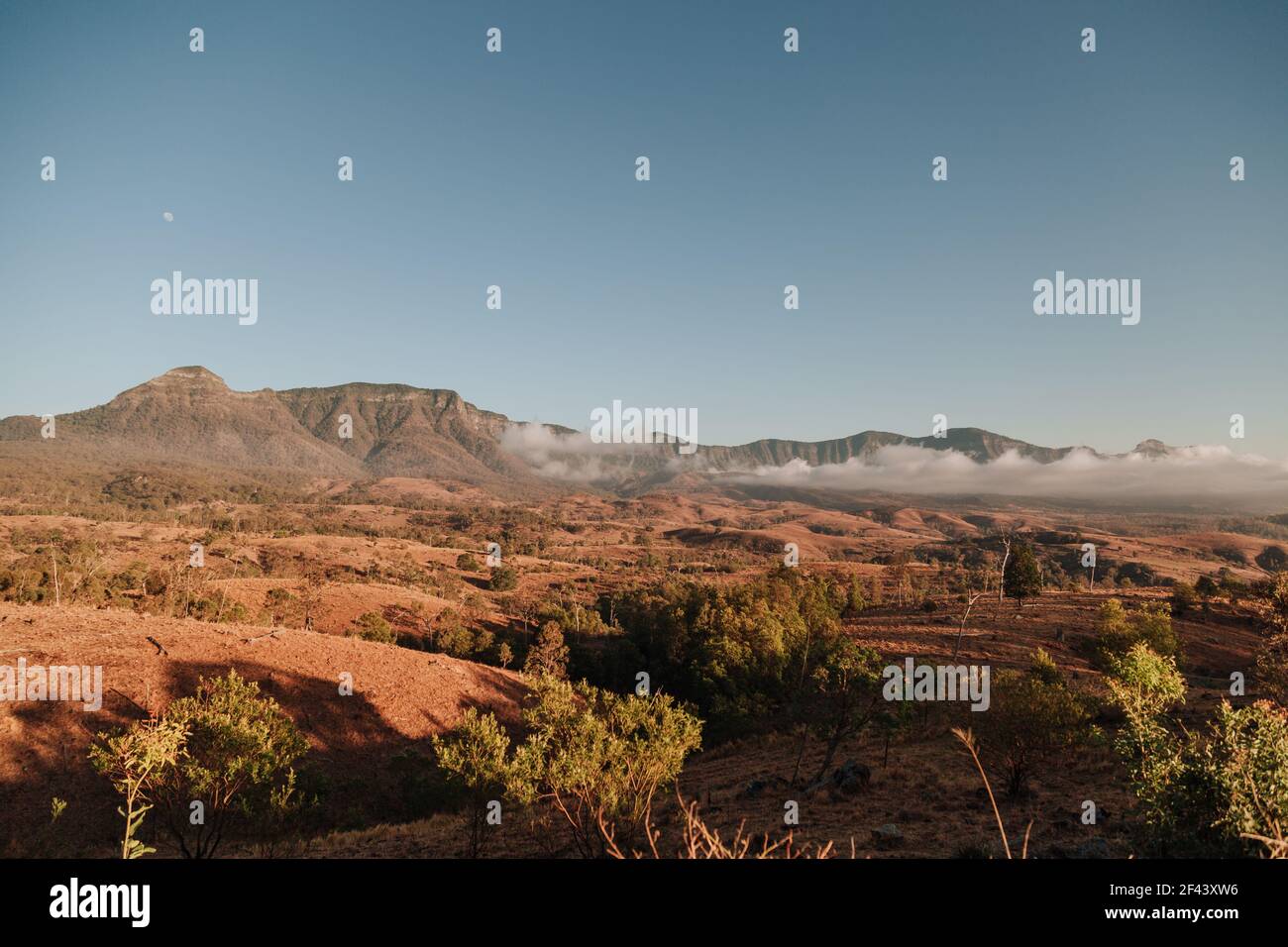 Australian Bush Mountain Backdrop in morning golden light with Blue Sky ...