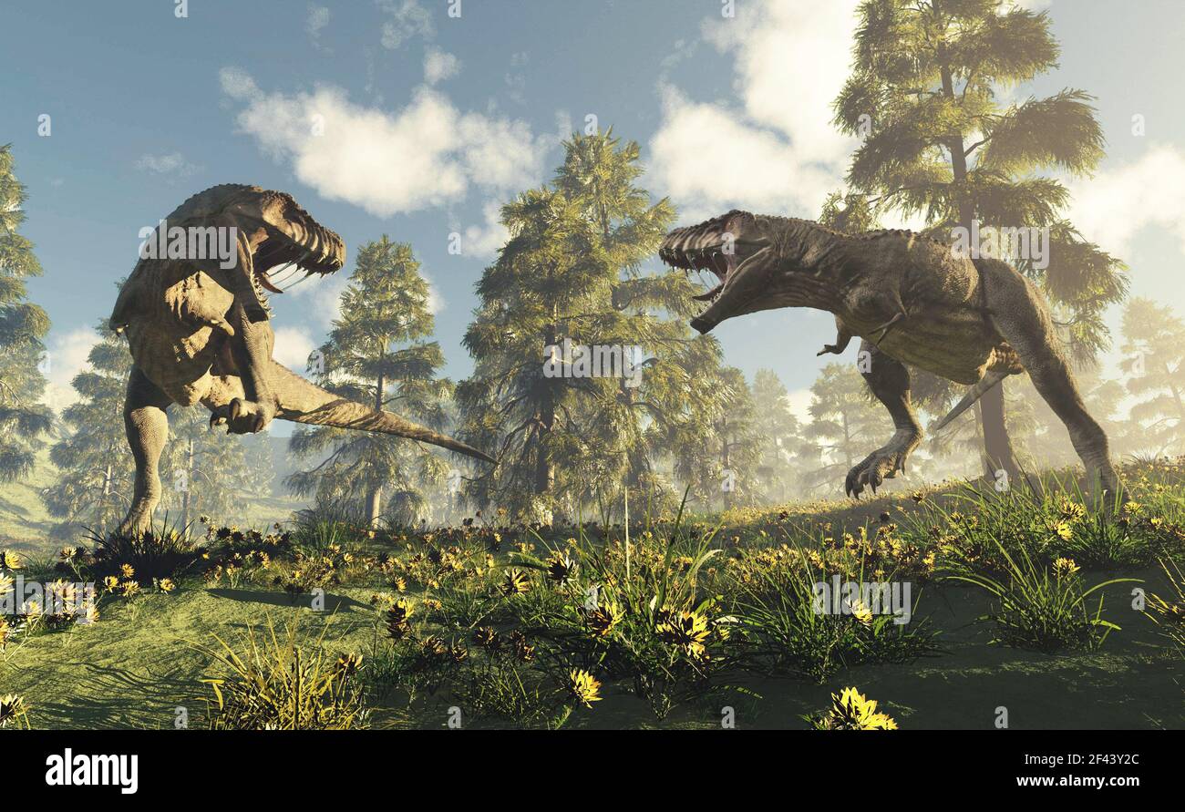 Tyrannosaurus rex dinosaur fight 3d hi-res stock photography and images ...