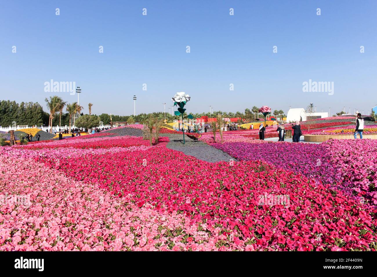 yanbu flower festival Stock Photo - Alamy