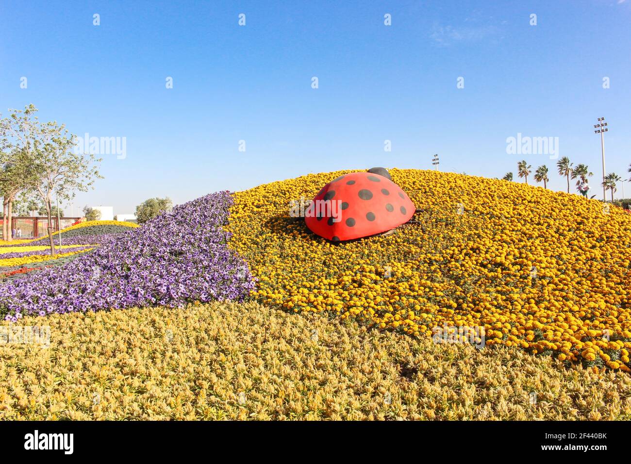 yanbu flower festival Stock Photo - Alamy