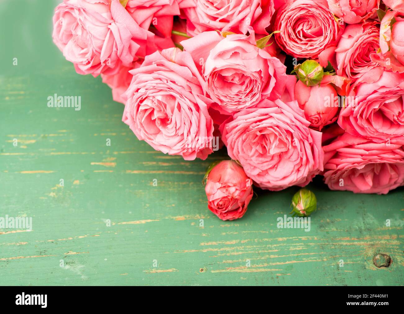 the light pink rose flower bouquet background Stock Photo - Alamy