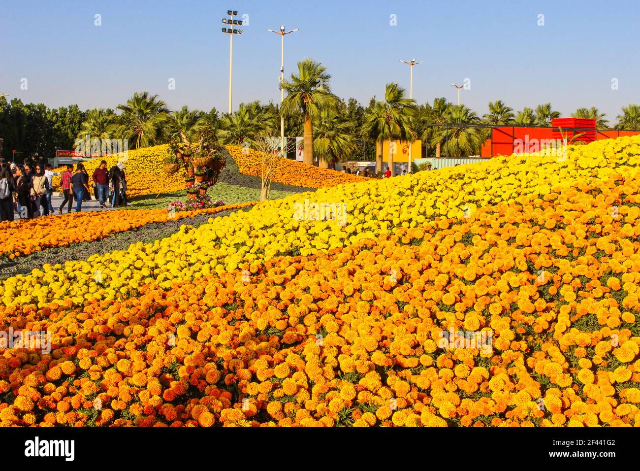 yanbu flower festival Stock Photo - Alamy