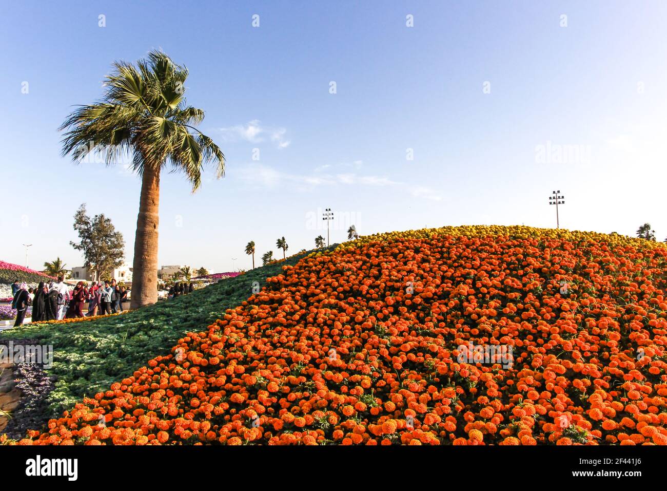 yanbu flower festival Stock Photo - Alamy