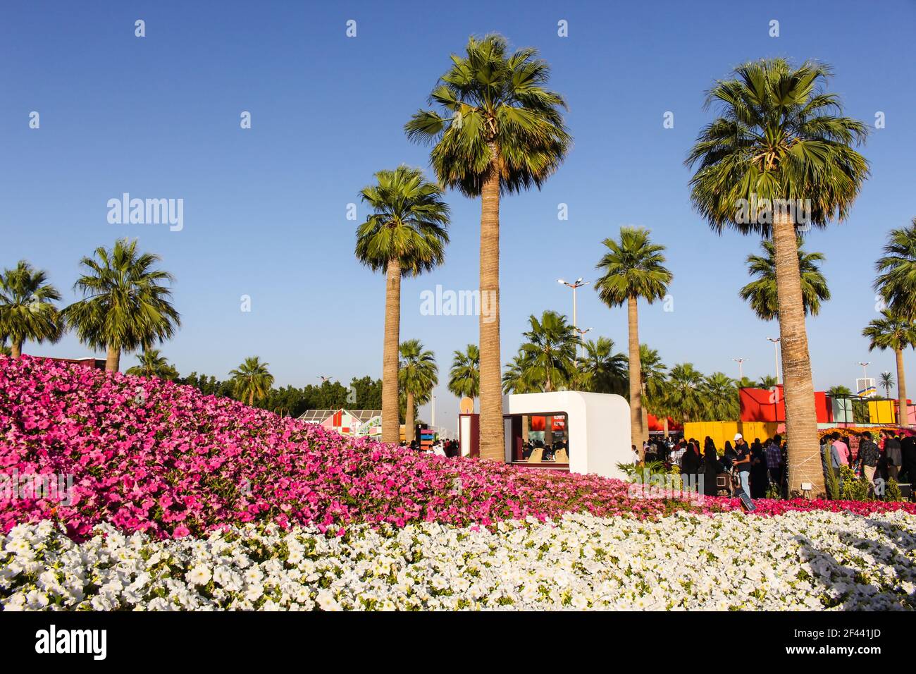 yanbu flower festival Stock Photo - Alamy