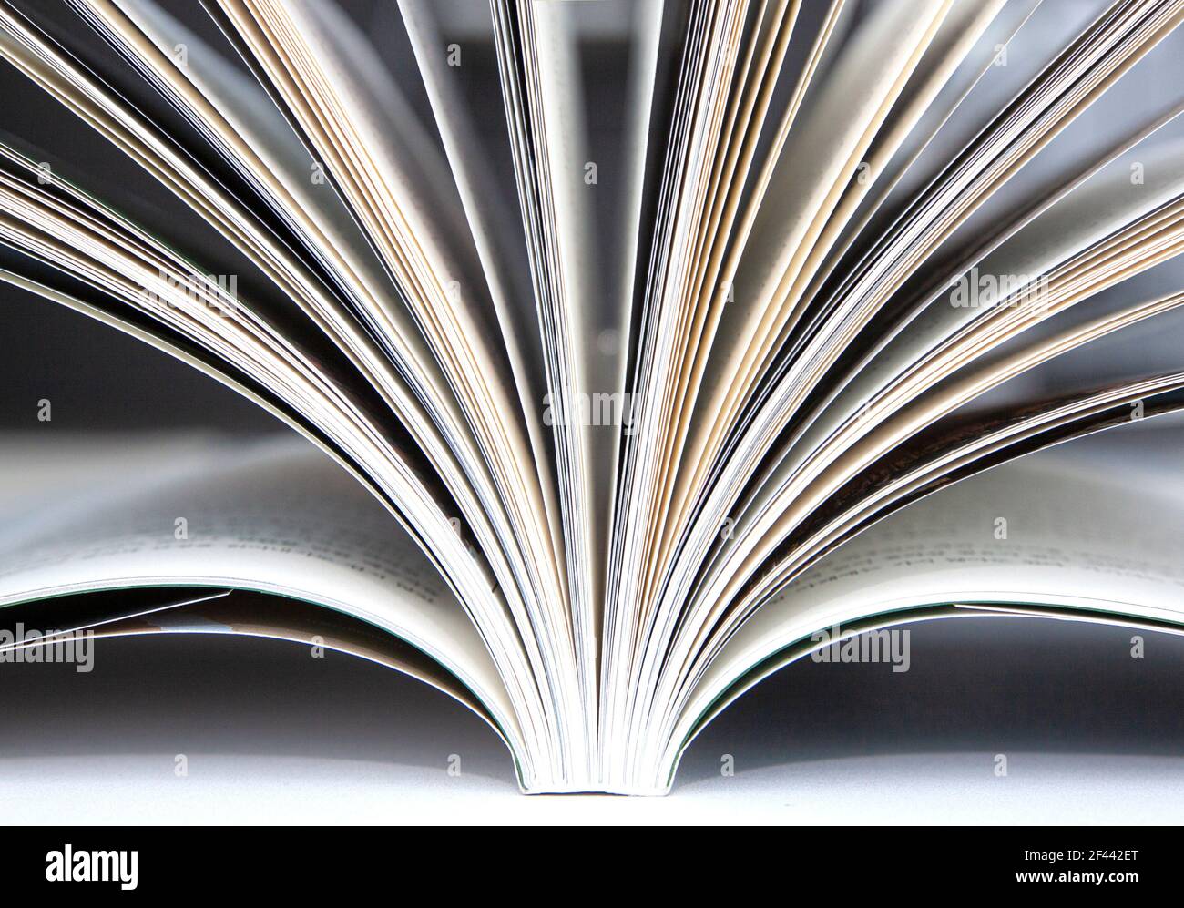 Still life with book hi-res stock photography and images - Alamy