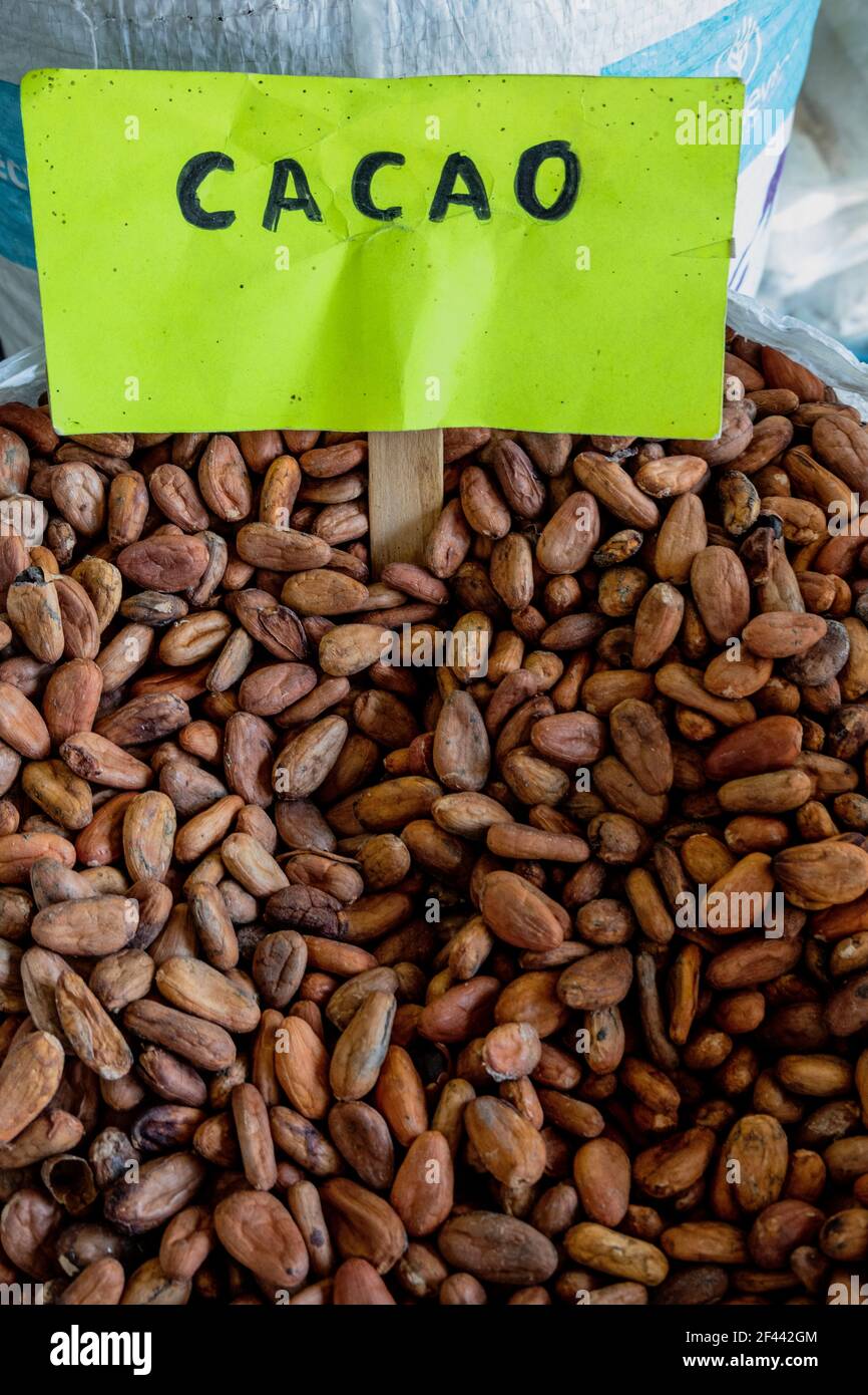 Coca seed hi-res stock photography and images - Alamy