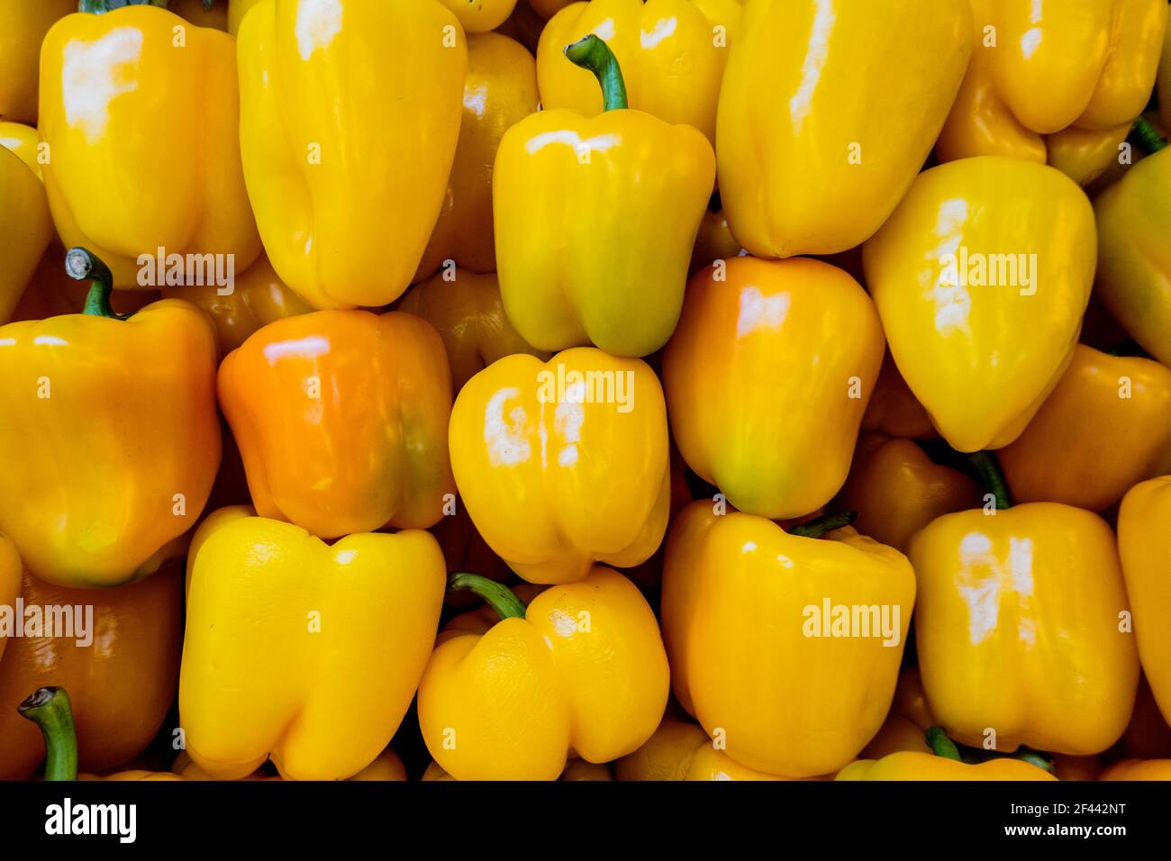 Yellow bell peppers in a pile ready for sale Stock Photo - Alamy