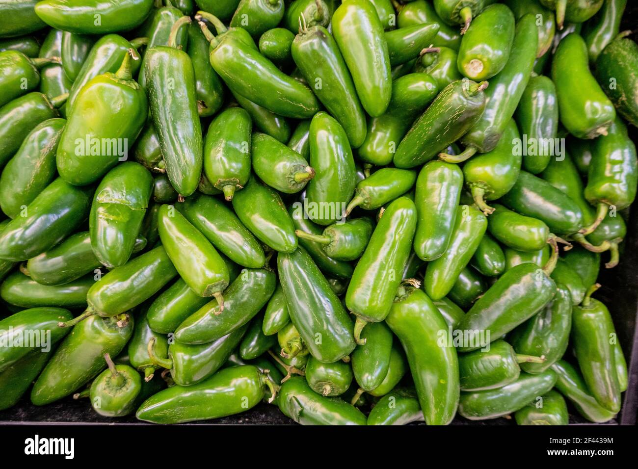Big green chilli hi-res stock photography and images - Alamy