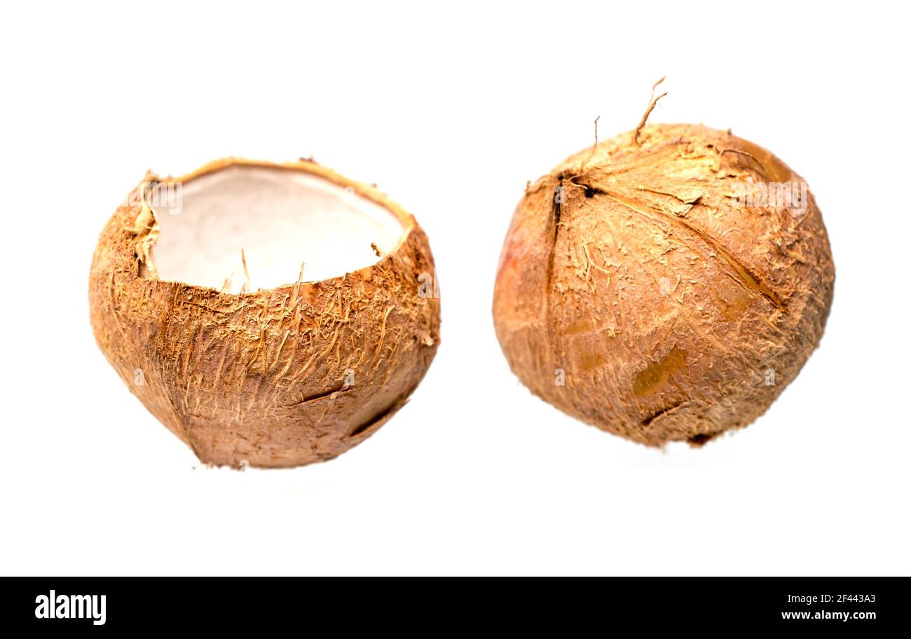 Coconut ready to serve isolated on a white background Stock Photo - Alamy
