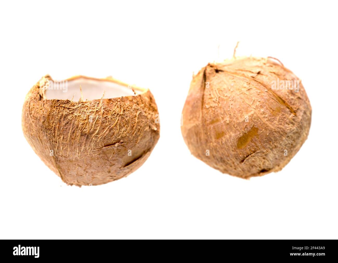 Coconut ready to serve isolated on a white background Stock Photo - Alamy