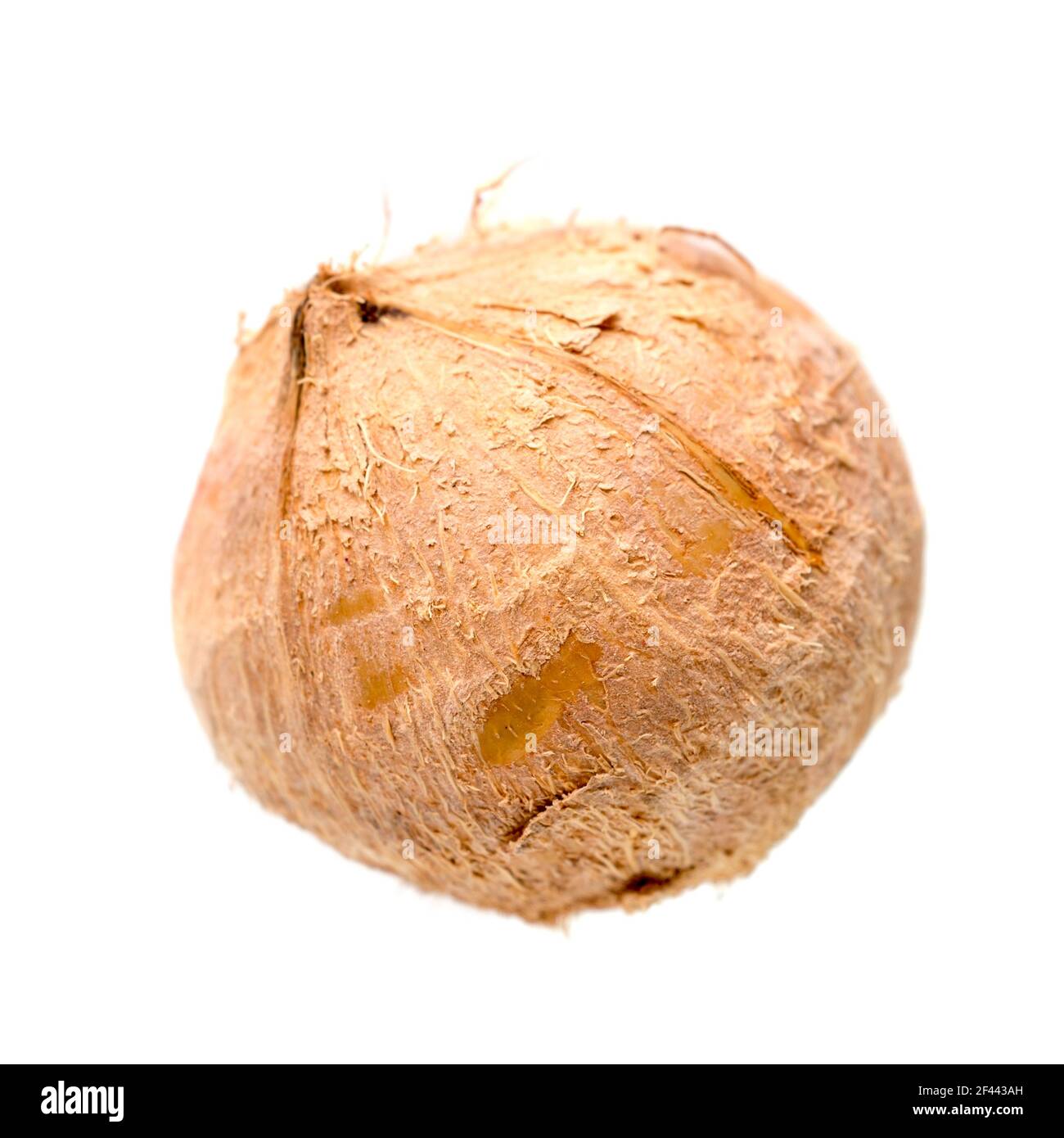 Coconut ready to serve isolated on a white background Stock Photo - Alamy