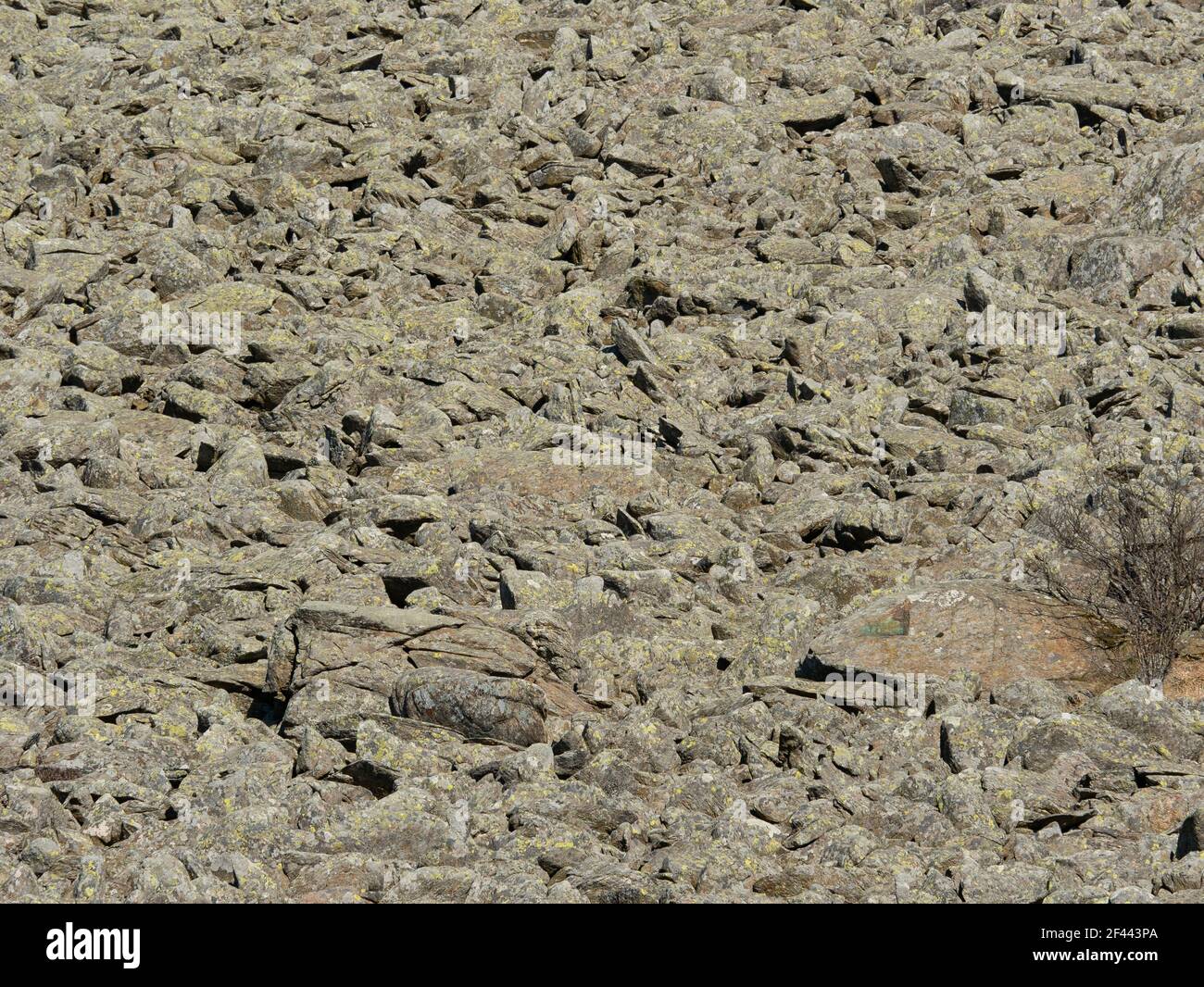 Blockfield hi-res stock photography and images - Alamy