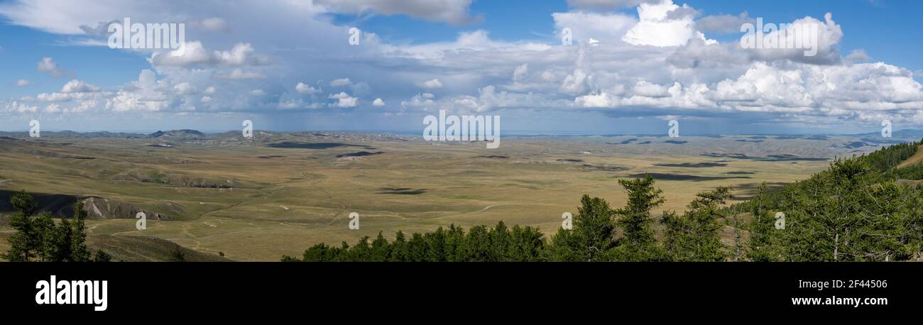 Panorama of the steppe of Mongolia in summer with grass, fields, and ...