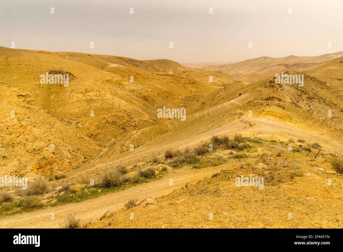 Sunset view of the Judaean Desert landscape, near Arad, Southern Israel ...