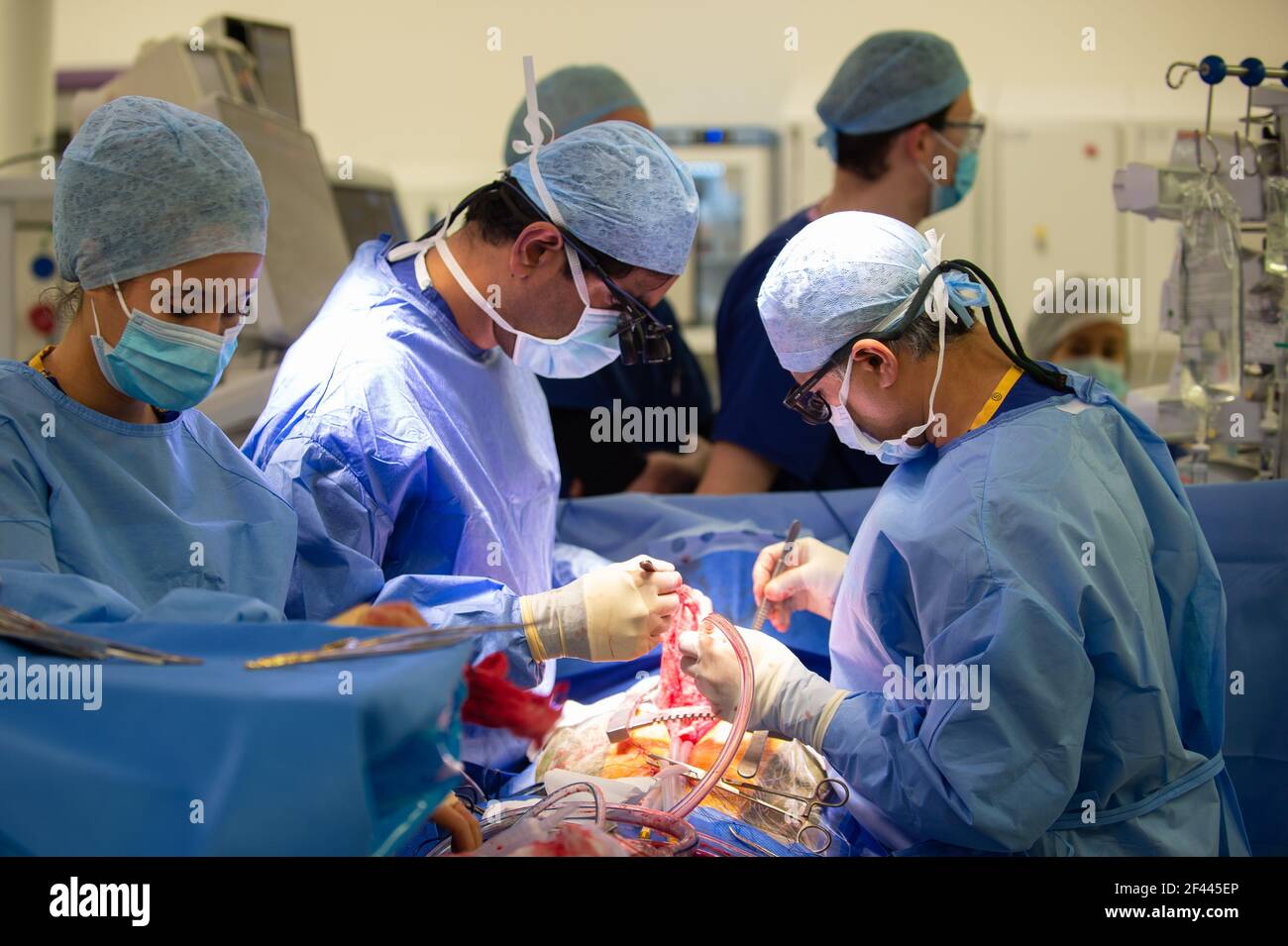 Surgical teams hi-res stock photography and images - Alamy