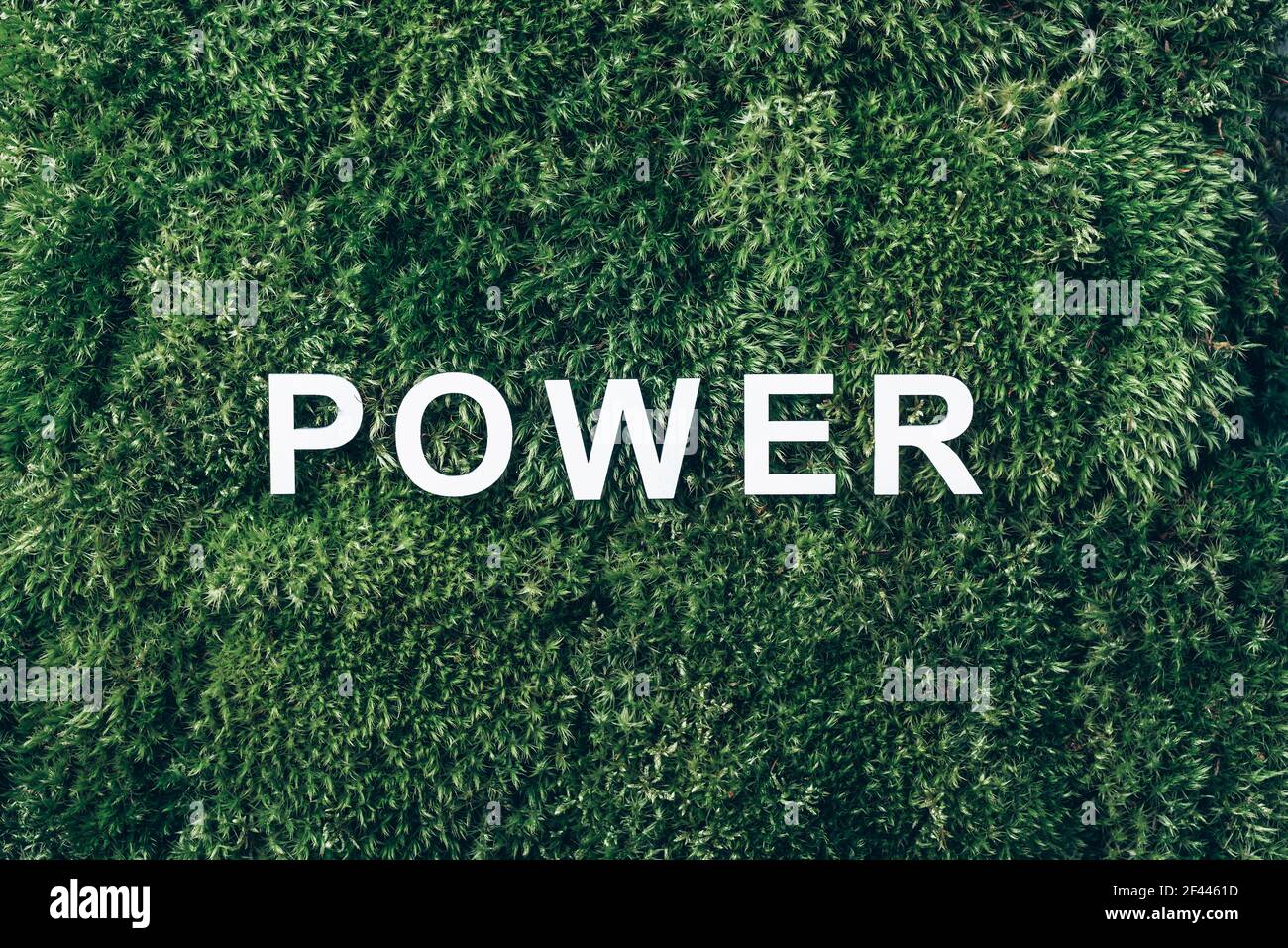 Word POWER on moss, green grass background. Top view. Copy space ...