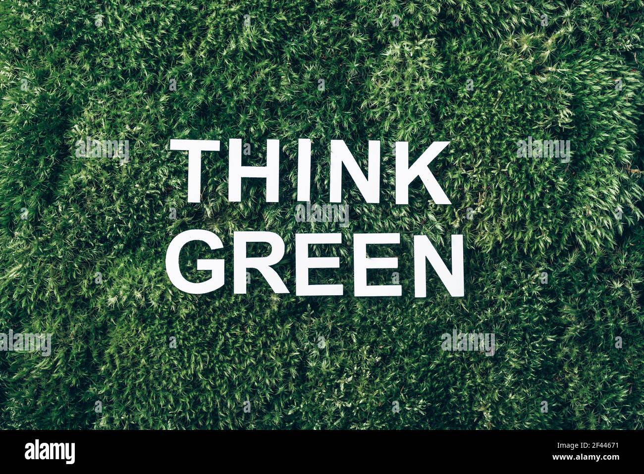 Inscription Think green, Live green words on moss, green grass ...