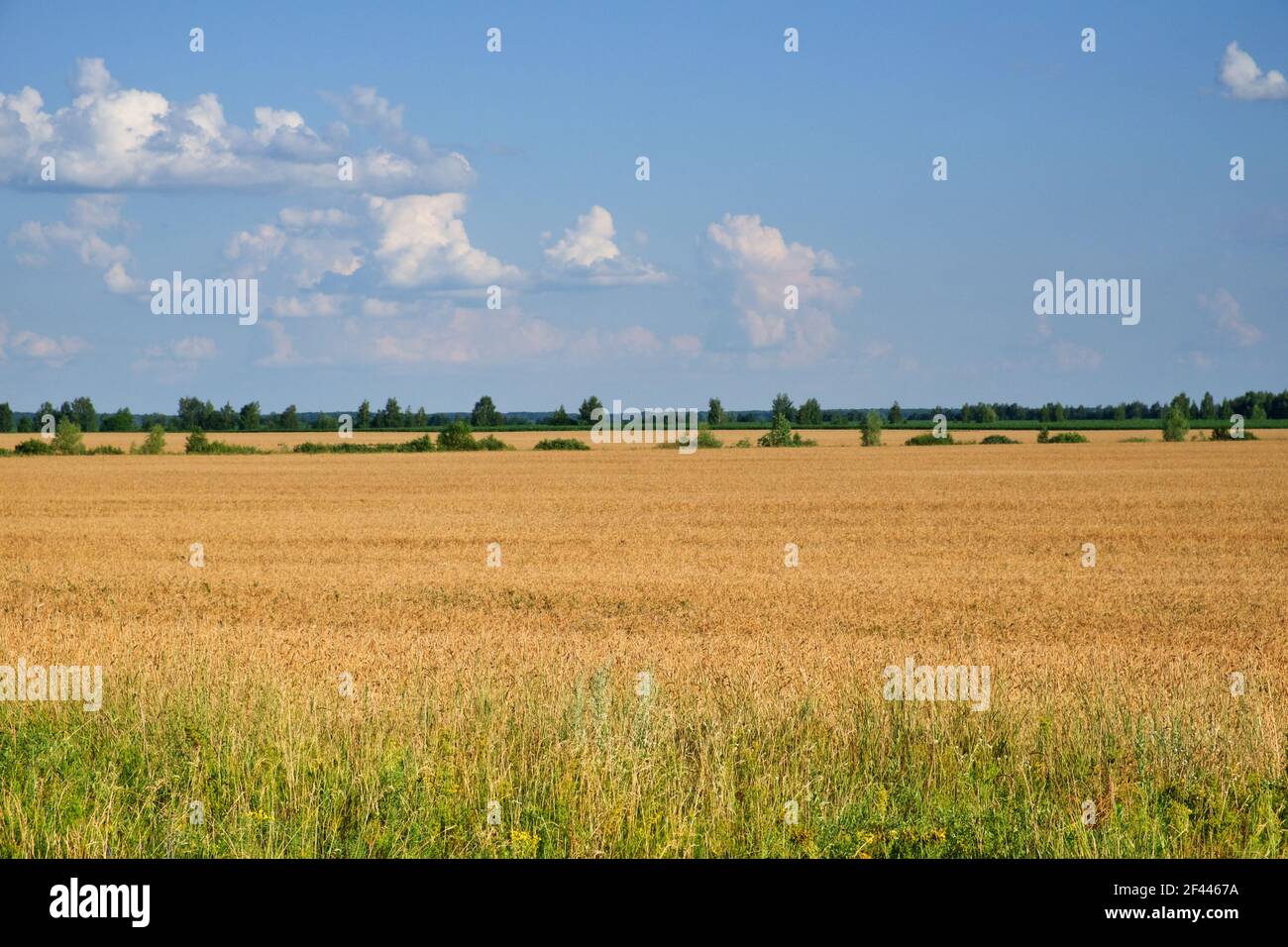 Plain scenery hi-res stock photography and images - Alamy