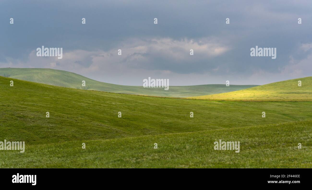 Green fields of the steppe of Mongolia with dark rain clouds and a bit ...