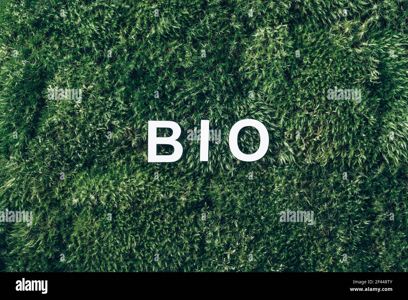 Word Bio on moss, green grass background. Top view. Copy space. Banner ...