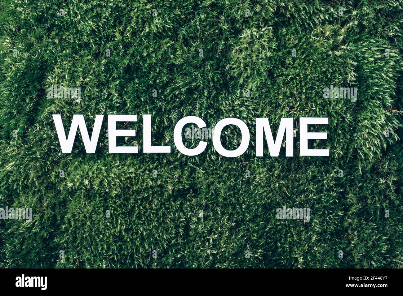 Word Welcome on moss, green grass background. Top view. Copy space ...