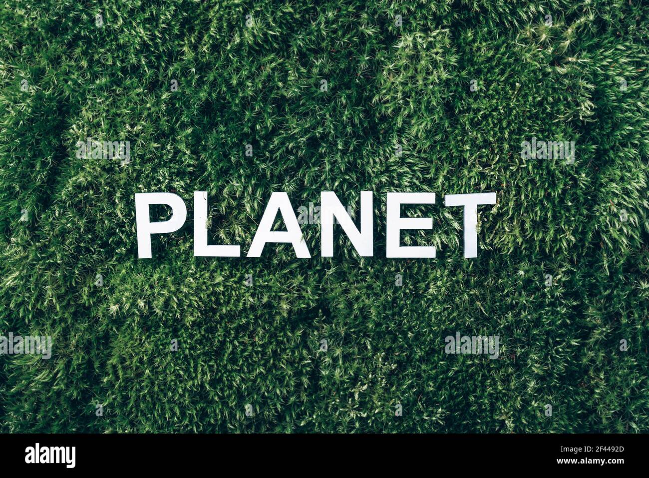 Word Planet on moss, green grass background. Top view. Copy space. Banner. Biophilia concept ...