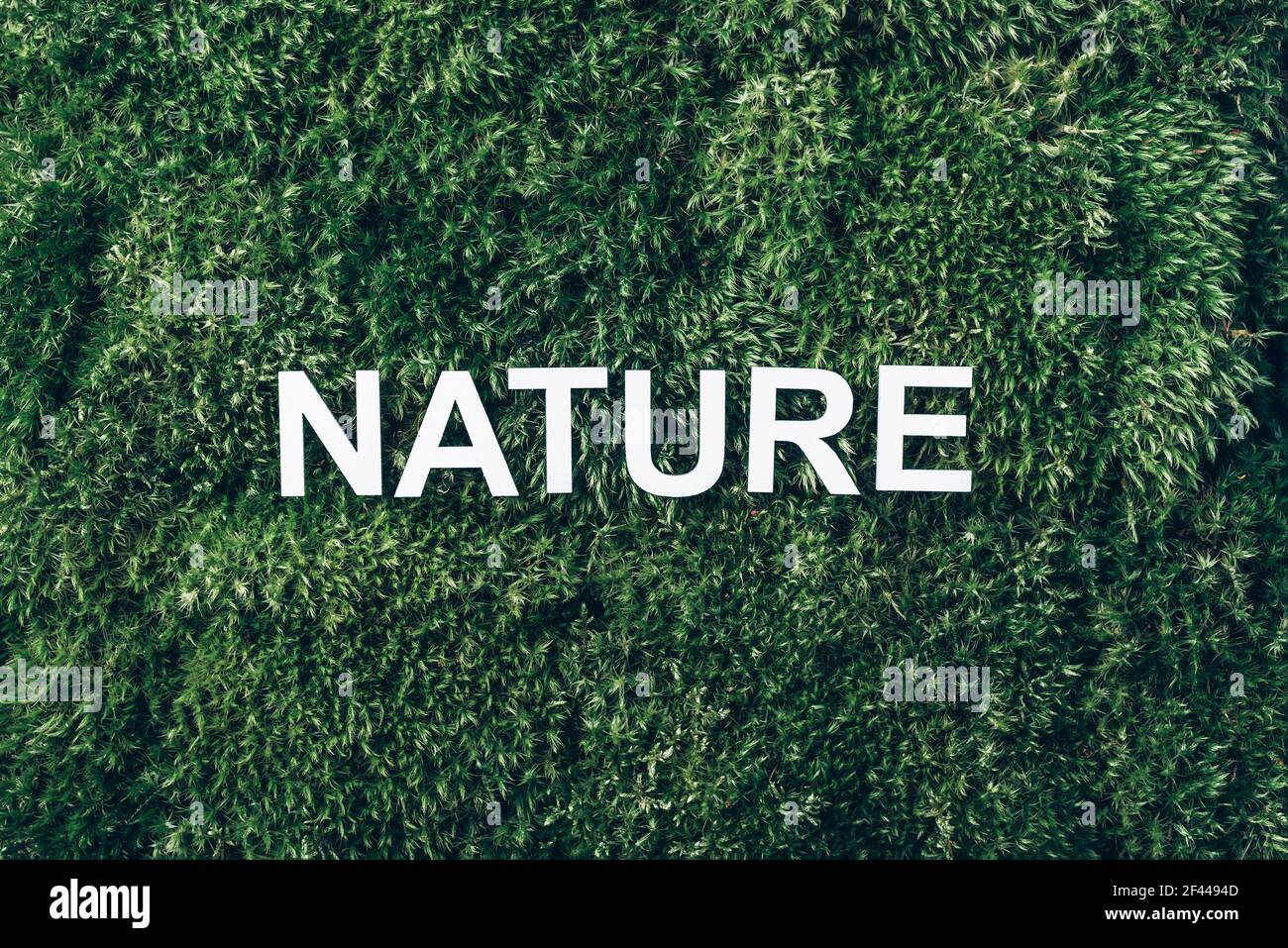 Word Nature on moss, green grass background. Top view. Copy space ...