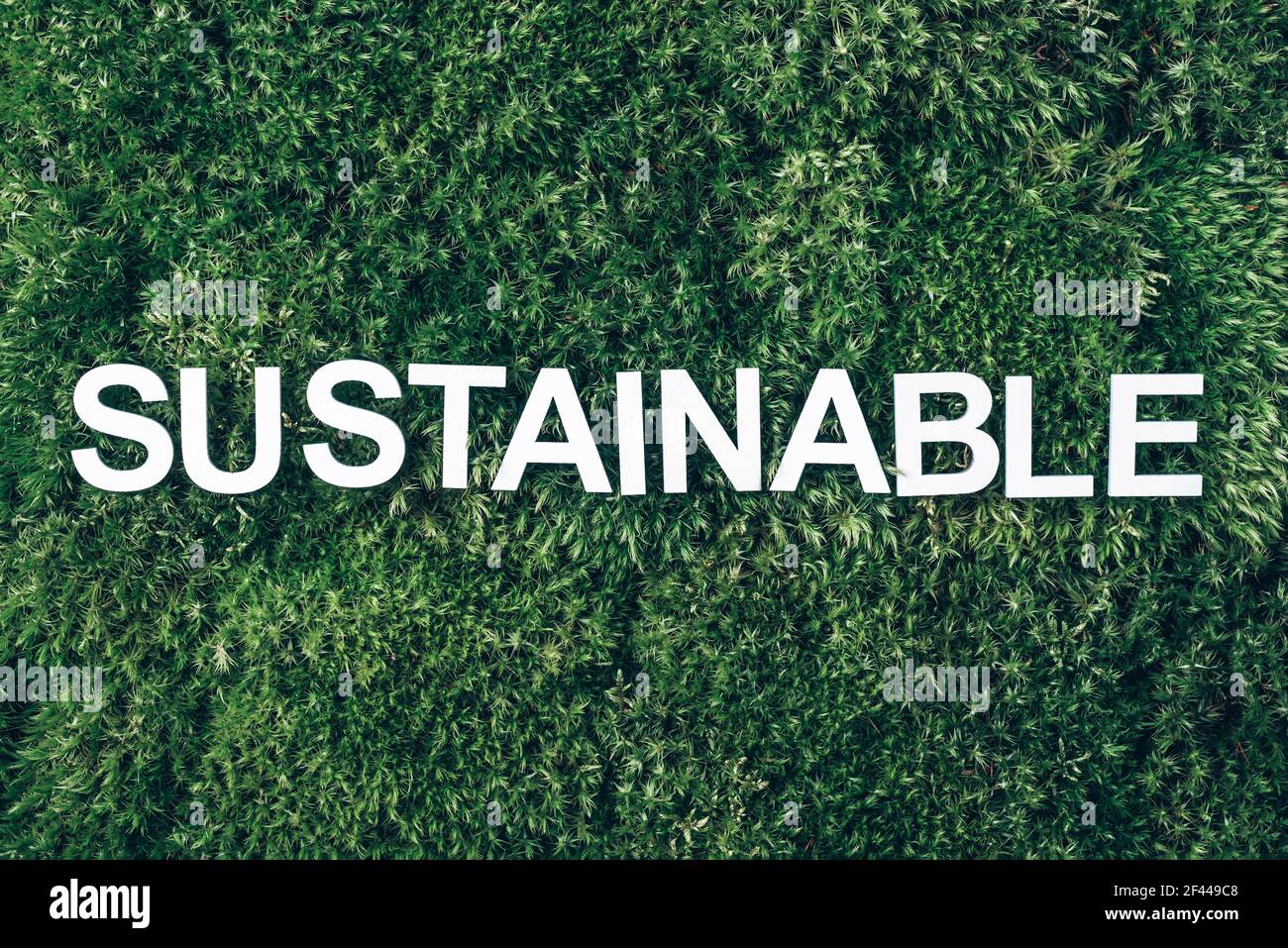 Word Sustainability on moss, green grass background. Top view. Copy ...