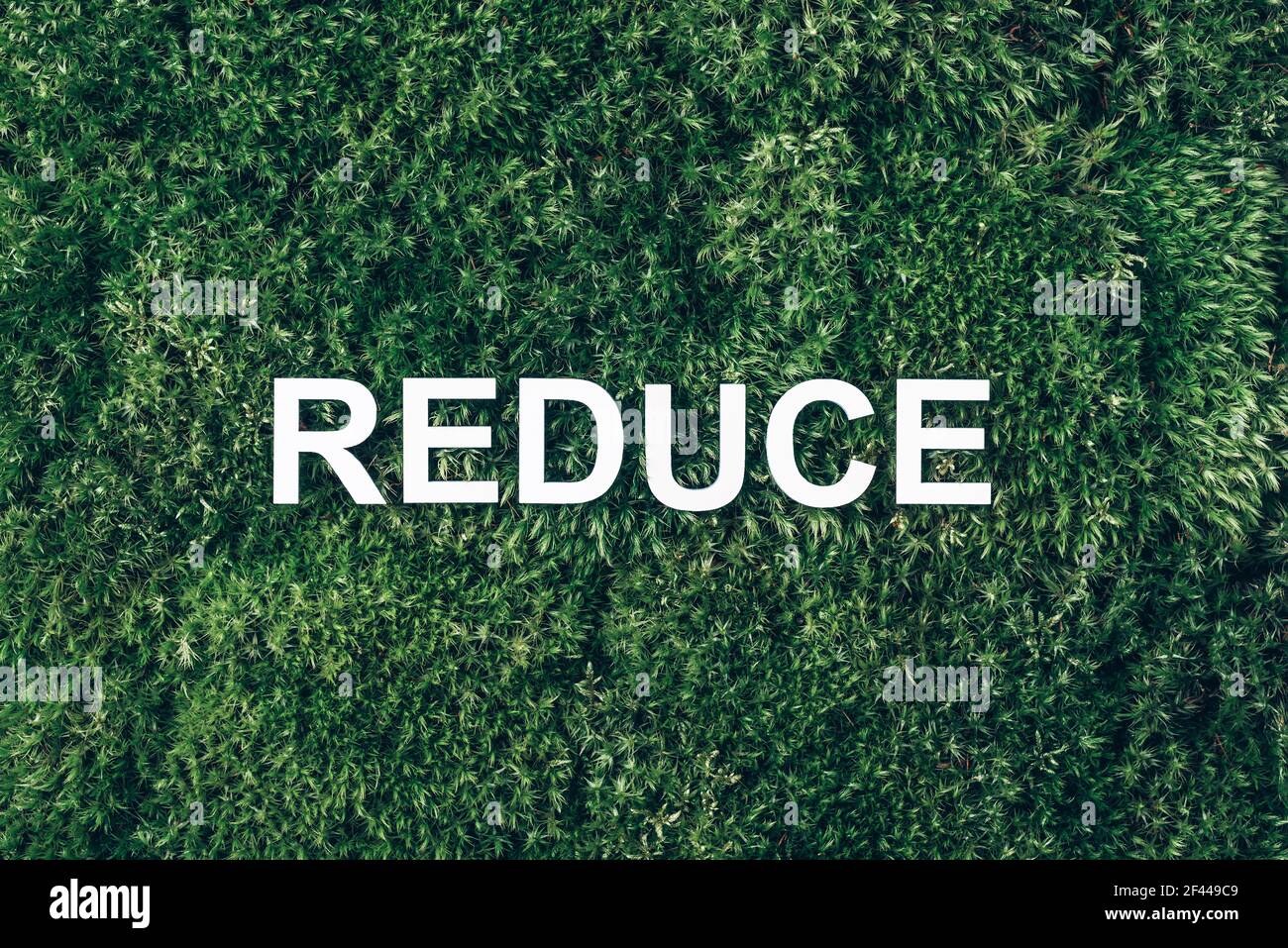 Word Reduce on moss, green grass background. Top view. Copy space ...