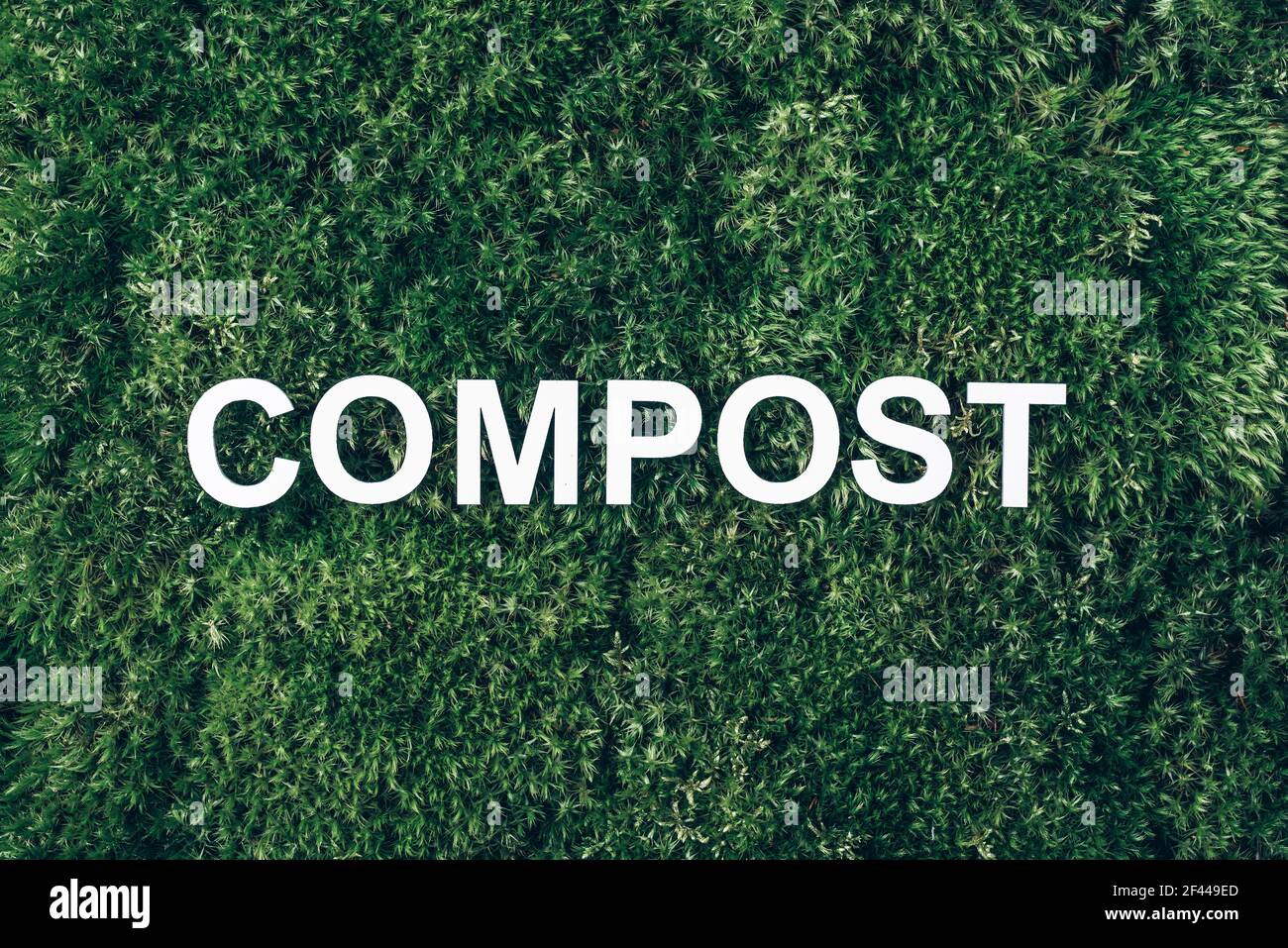Word Compost on moss, green grass background. Top view. Banner ...