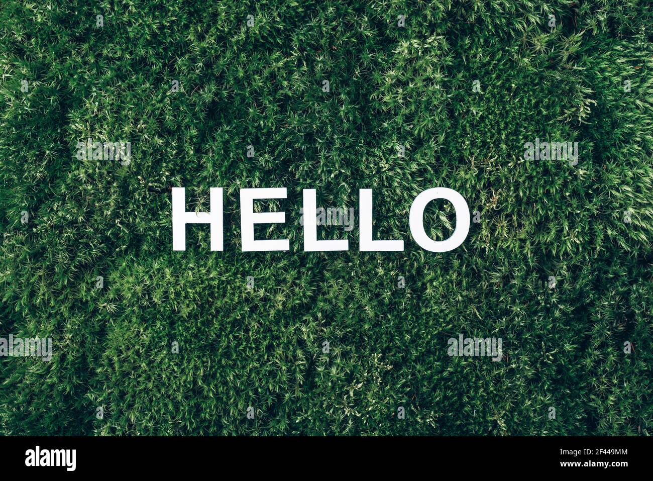 Word Hello on moss, green grass background. Top view. Copy space ...