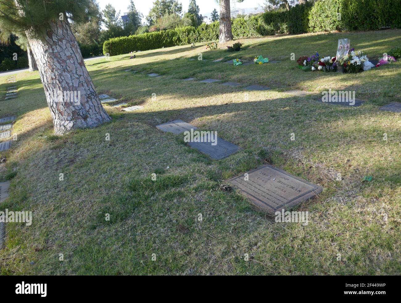 Los Angeles, California, USA 18th March 2021 A general view of ...