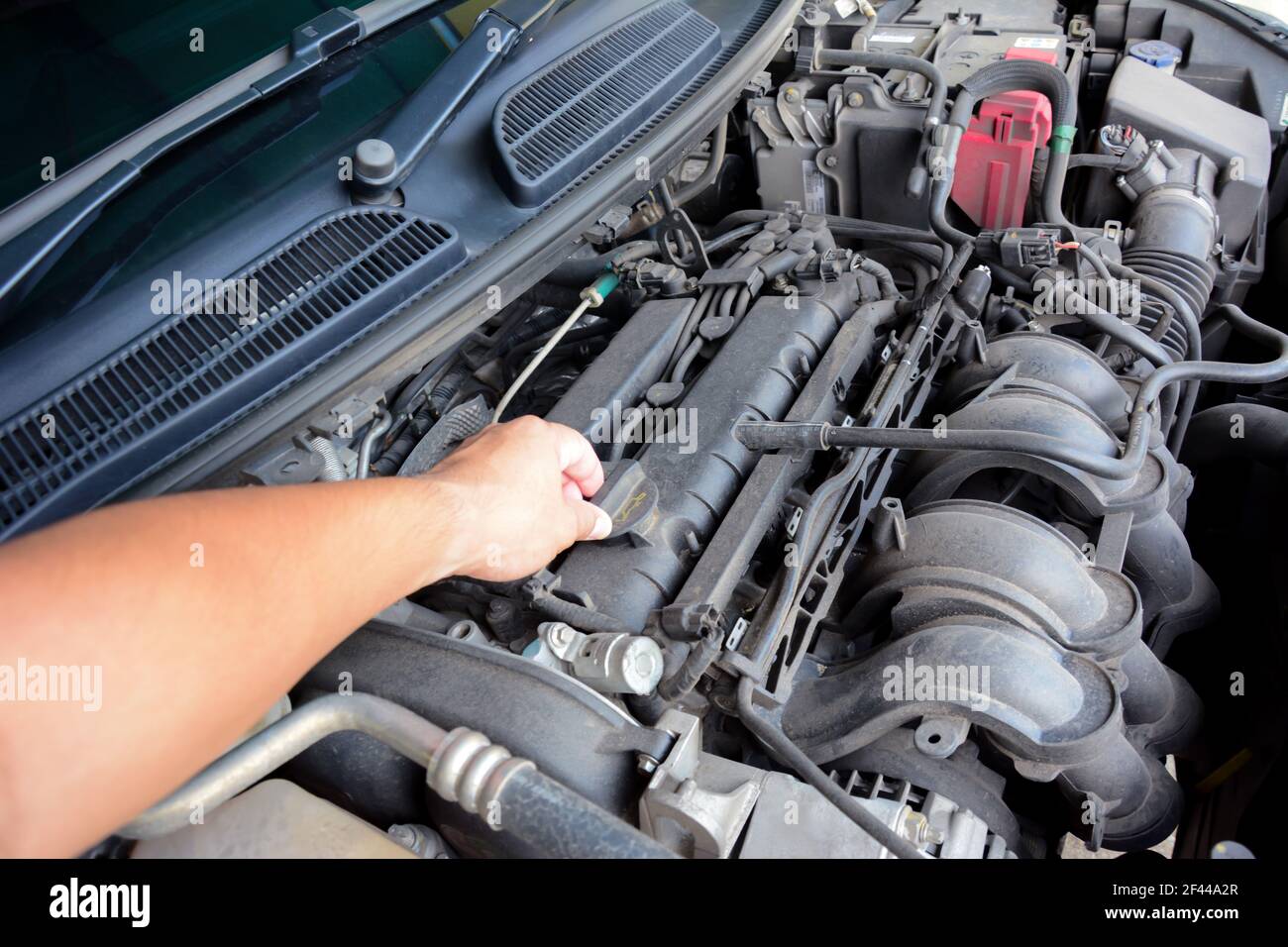 Hand checking hi-res stock photography and images - Alamy