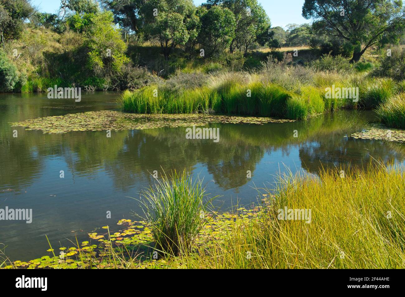 Australian country bank hi-res stock photography and images - Alamy