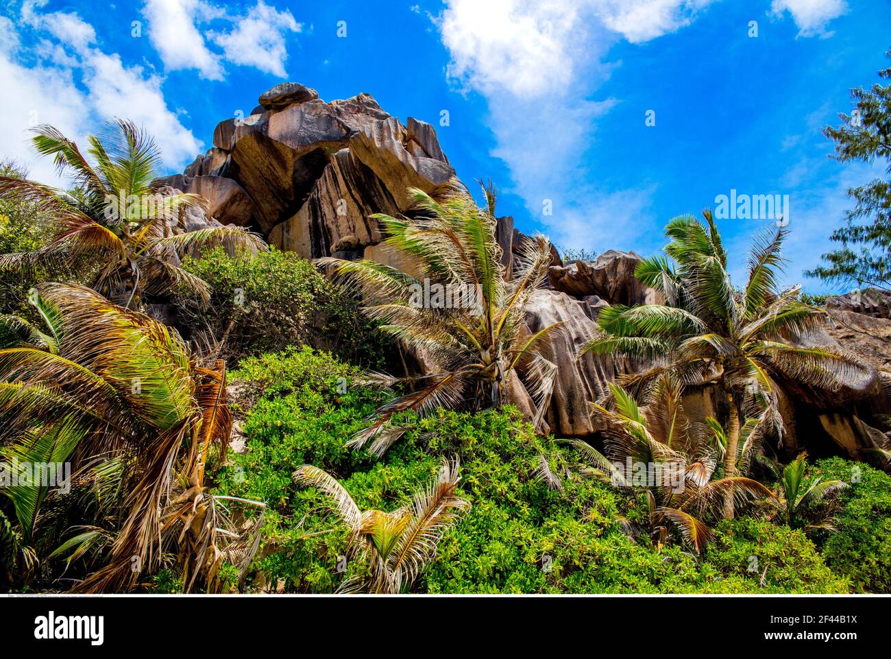geography / travel, Seychelles, La Digue, Grand Anse, rocks and palm ...