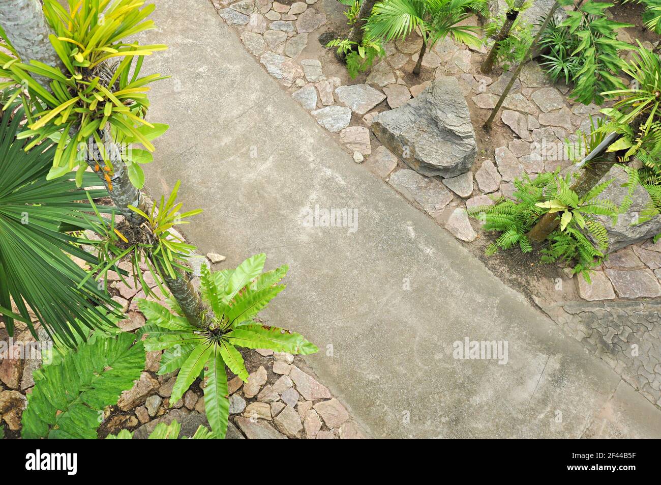 Walkway in the garden - top view Stock Photo - Alamy