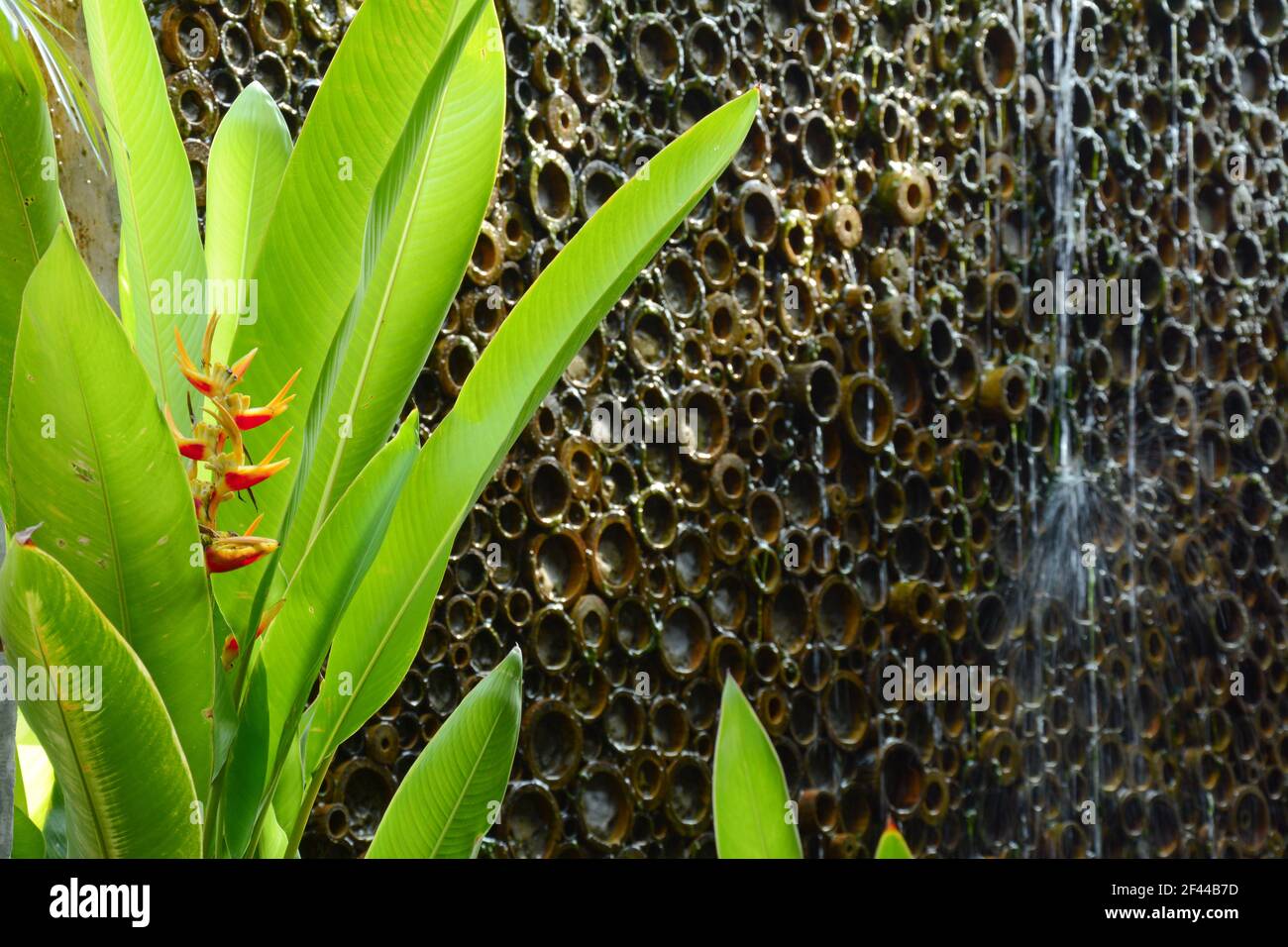 Water cascade hi-res stock photography and images - Alamy