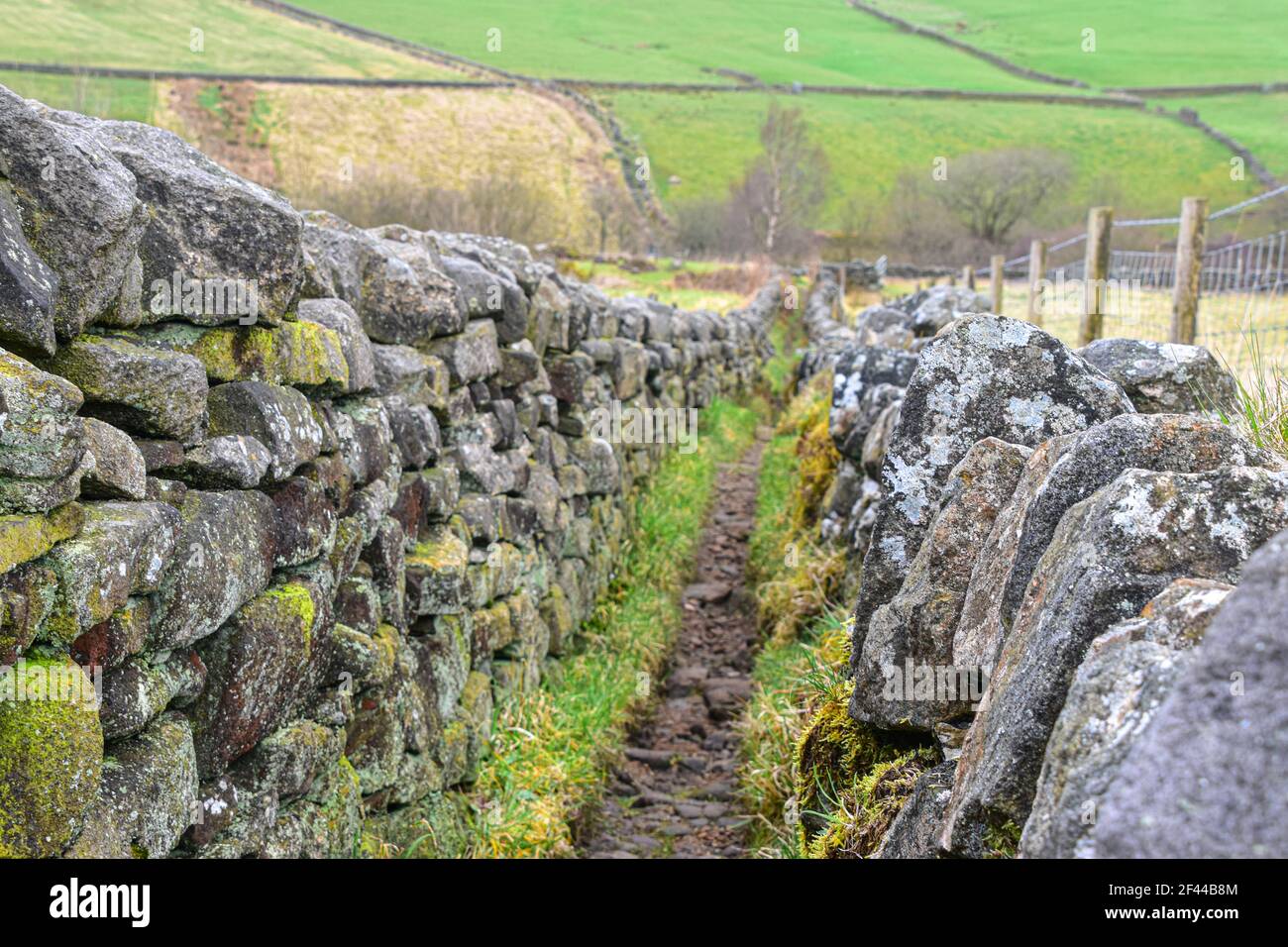 Dry Stone Walls, Colden Valley, Pennine Way, South Pennines, West ...