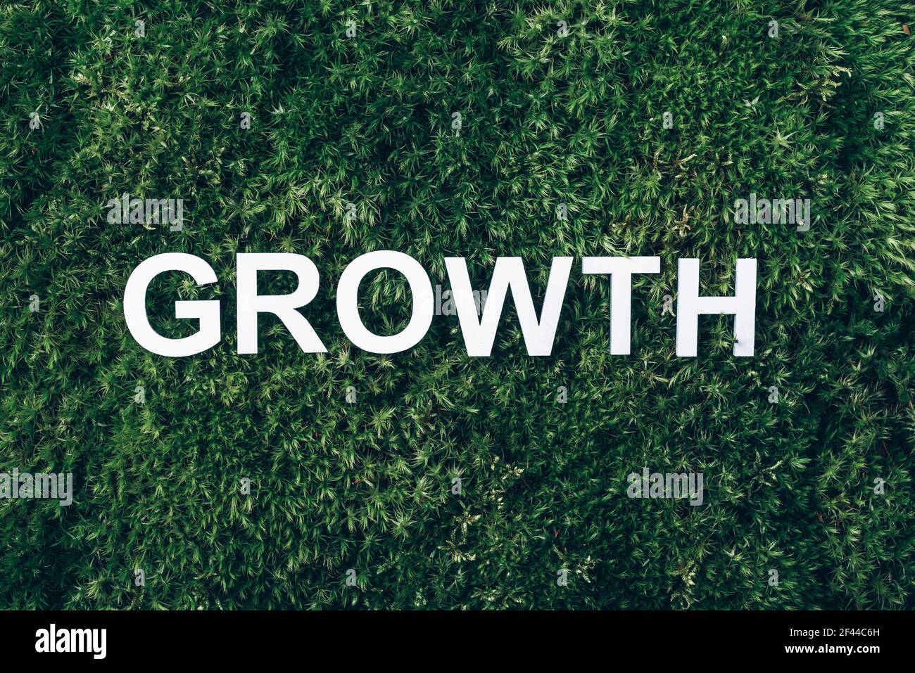 Word Growth on moss, green grass background. Top view. Copy space ...