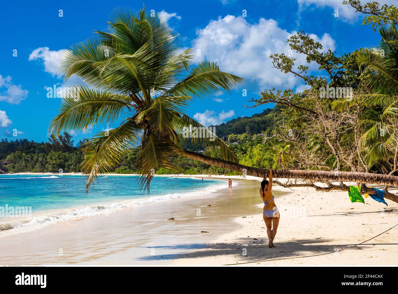 geography / travel, Seychelles, Mahe, Baie Lazare, beach with palm tree ...