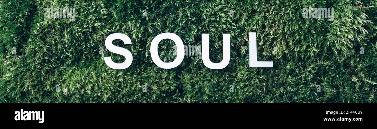 Word SOUL on moss, green grass background. Top view. Copy space. Banner ...