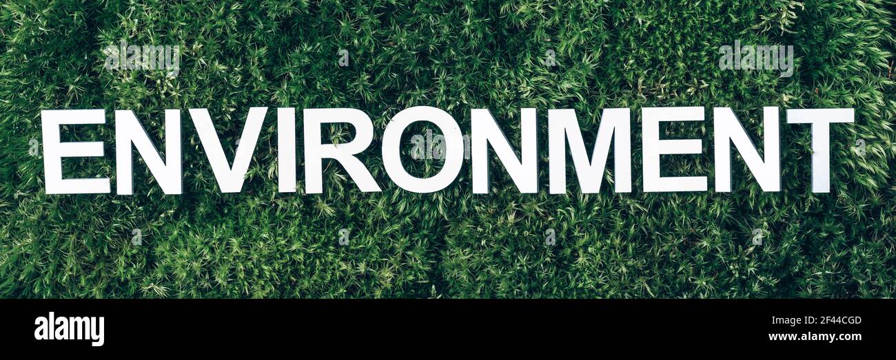 Word Environment on moss, green grass background. Top view. Copy space ...