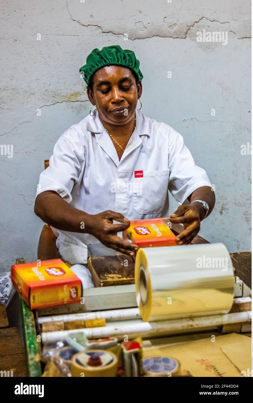 Indian tea factory hi-res stock photography and images - Alamy