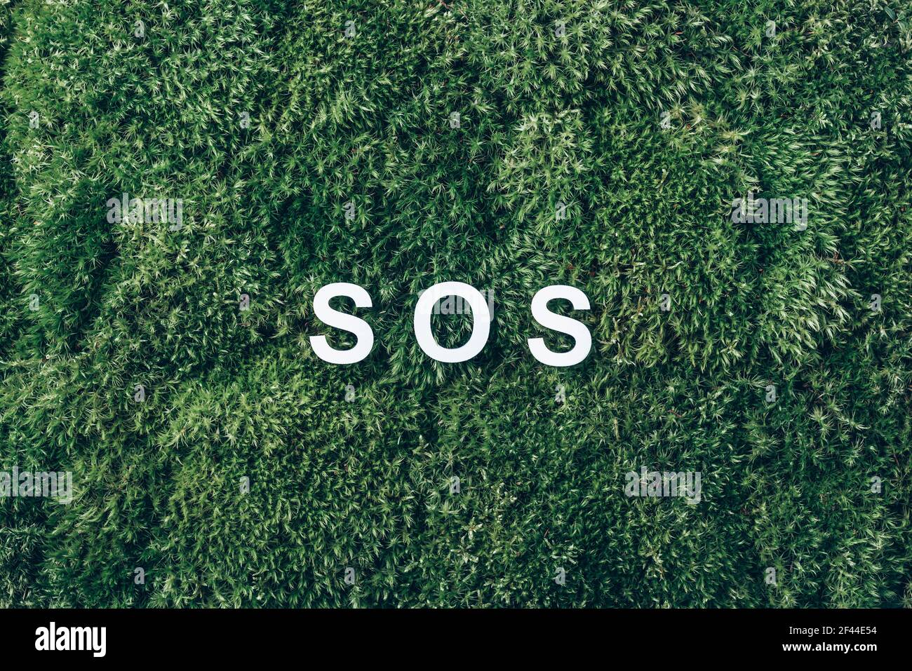 Word SOS on moss, green grass background. Top view. Copy space. Banner ...