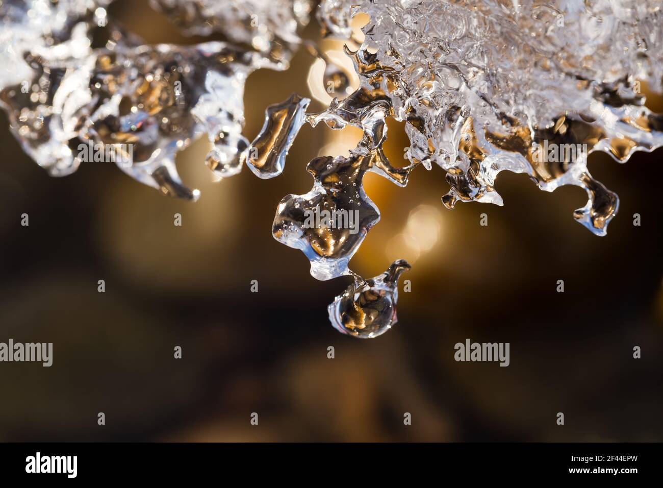 Close-up of spring melting icicles with bubbles of air on golden and ...