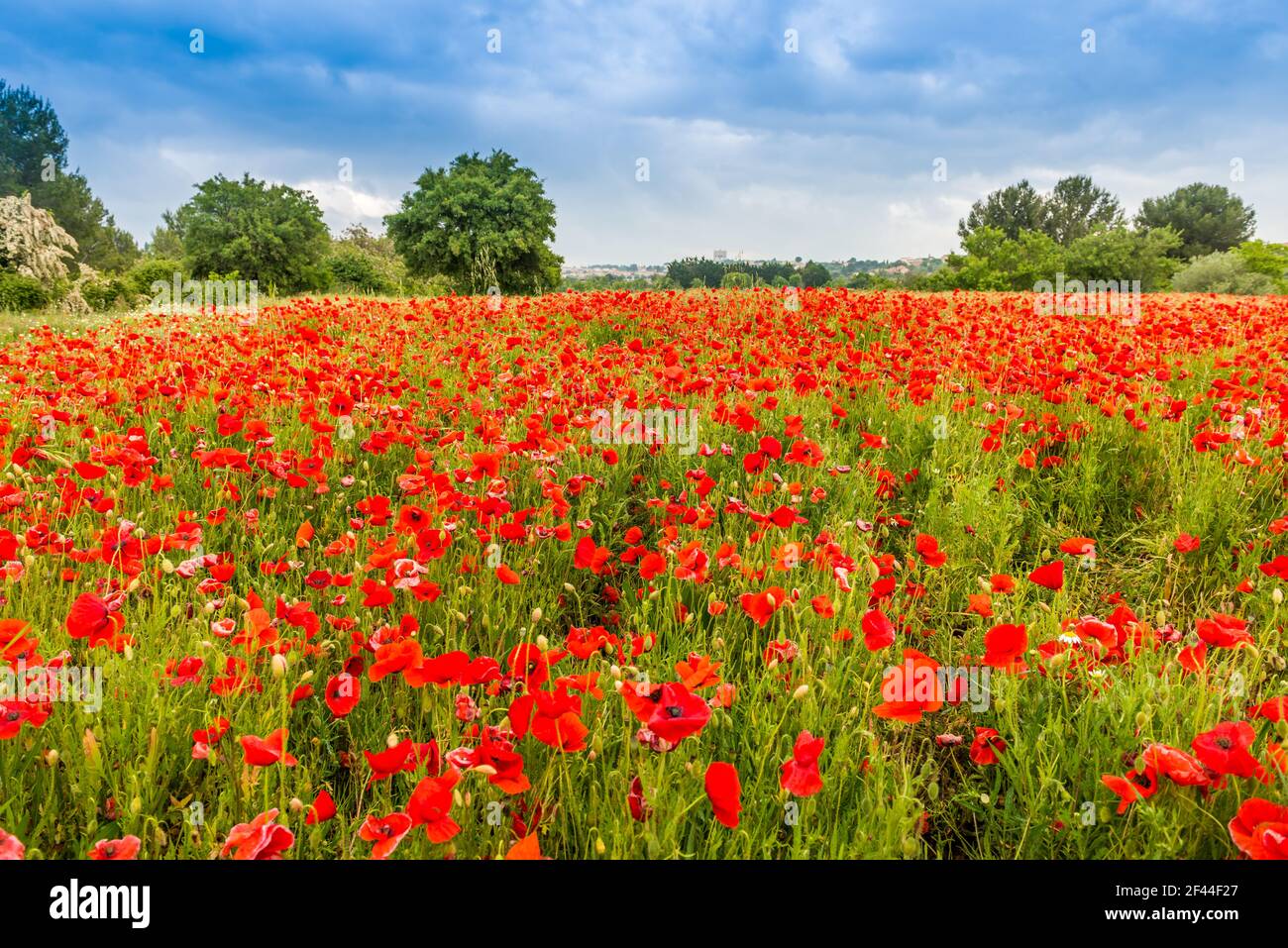 Sunlight france field hi-res stock photography and images - Alamy