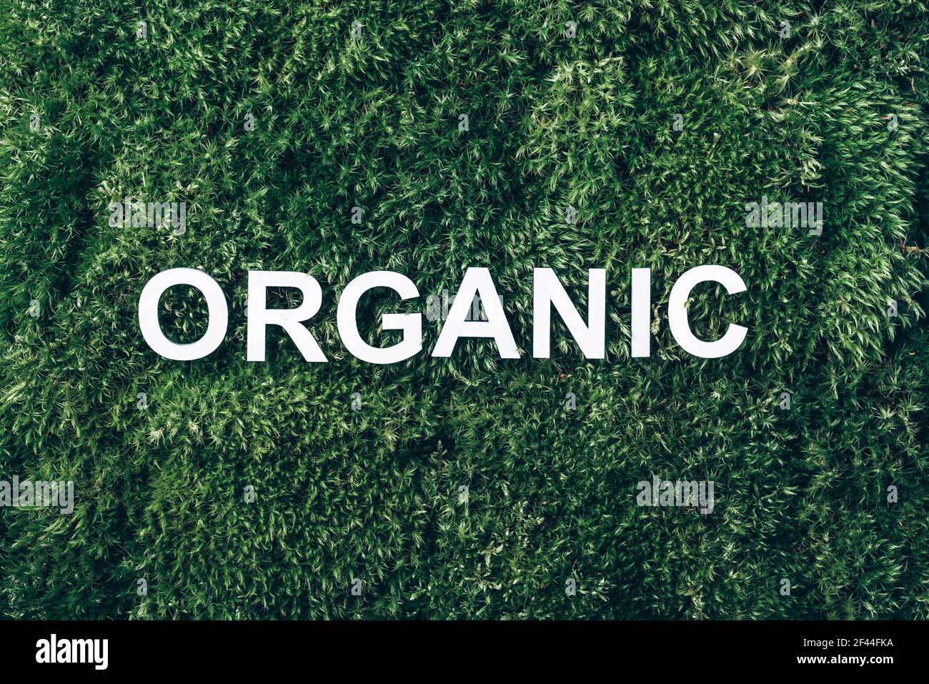Word Organic on moss, green grass background. Top view. Copy space ...