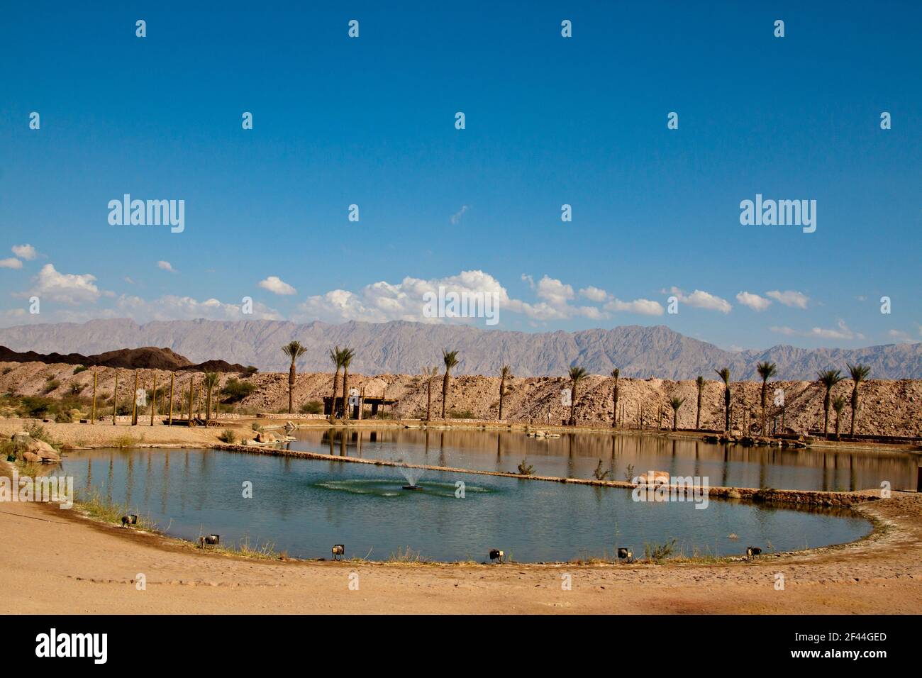Timna park israel hi-res stock photography and images - Alamy